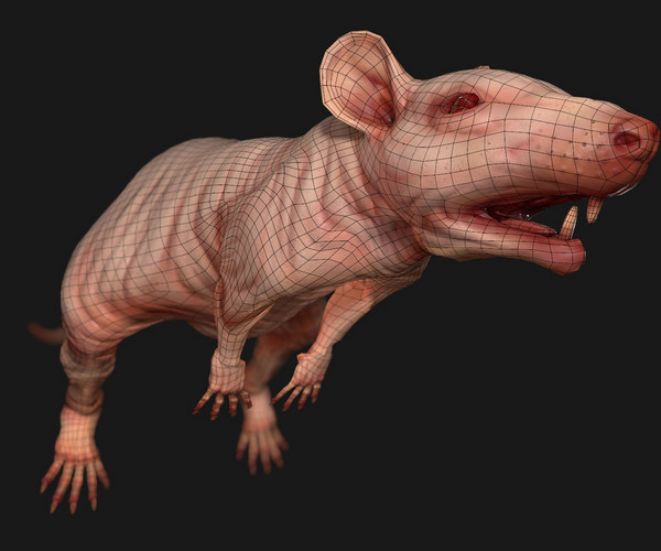 ArtStation - Rats Complete Pack | Resources