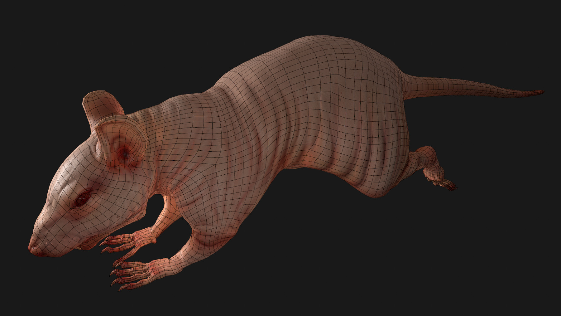 ArtStation - Rats Complete Pack | Game Assets