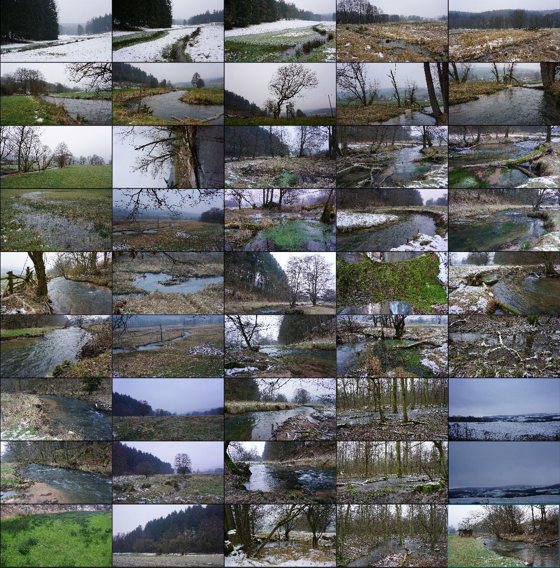 ArtStation - Wild Nature Pack - 160+ Reference pictures | Resources