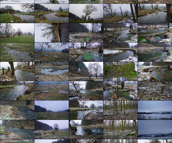 ArtStation - Wild Nature Pack - 160+ Reference pictures | Resources