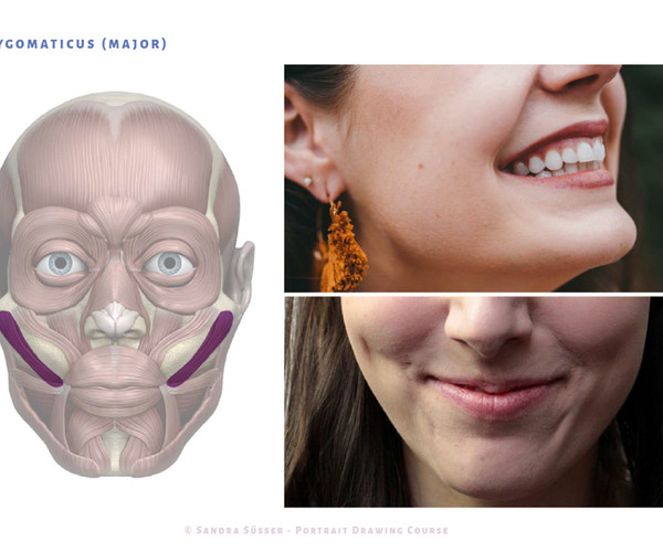 ArtStation - Muscle Head Bundle – 3D Model, Timelapse, Videos ZBrush ...