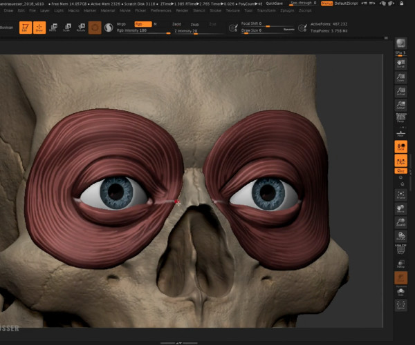 ArtStation - Muscle Head Bundle – 3D Model, Timelapse, Videos ZBrush ...