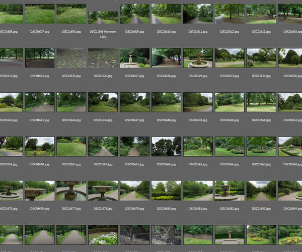 ArtStation - London Parks Texture PACK | Resources