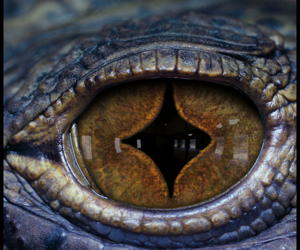 ArtStation - Creature Eye Textures - Vol 01 | Resources