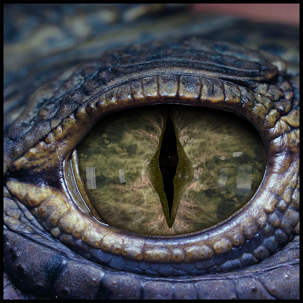 ArtStation - Creature Eye Textures - Vol 01 | Resources