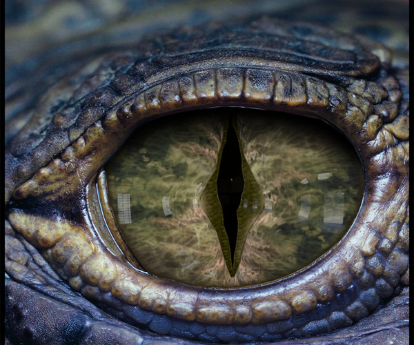 ArtStation - Creature Eye Textures - Vol 01 | Resources