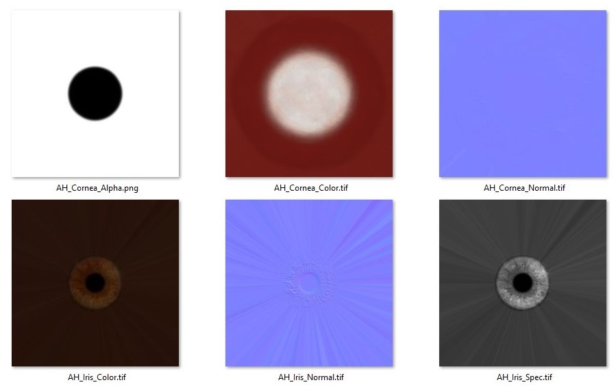 ArtStation - Realistic Human Eye | Resources