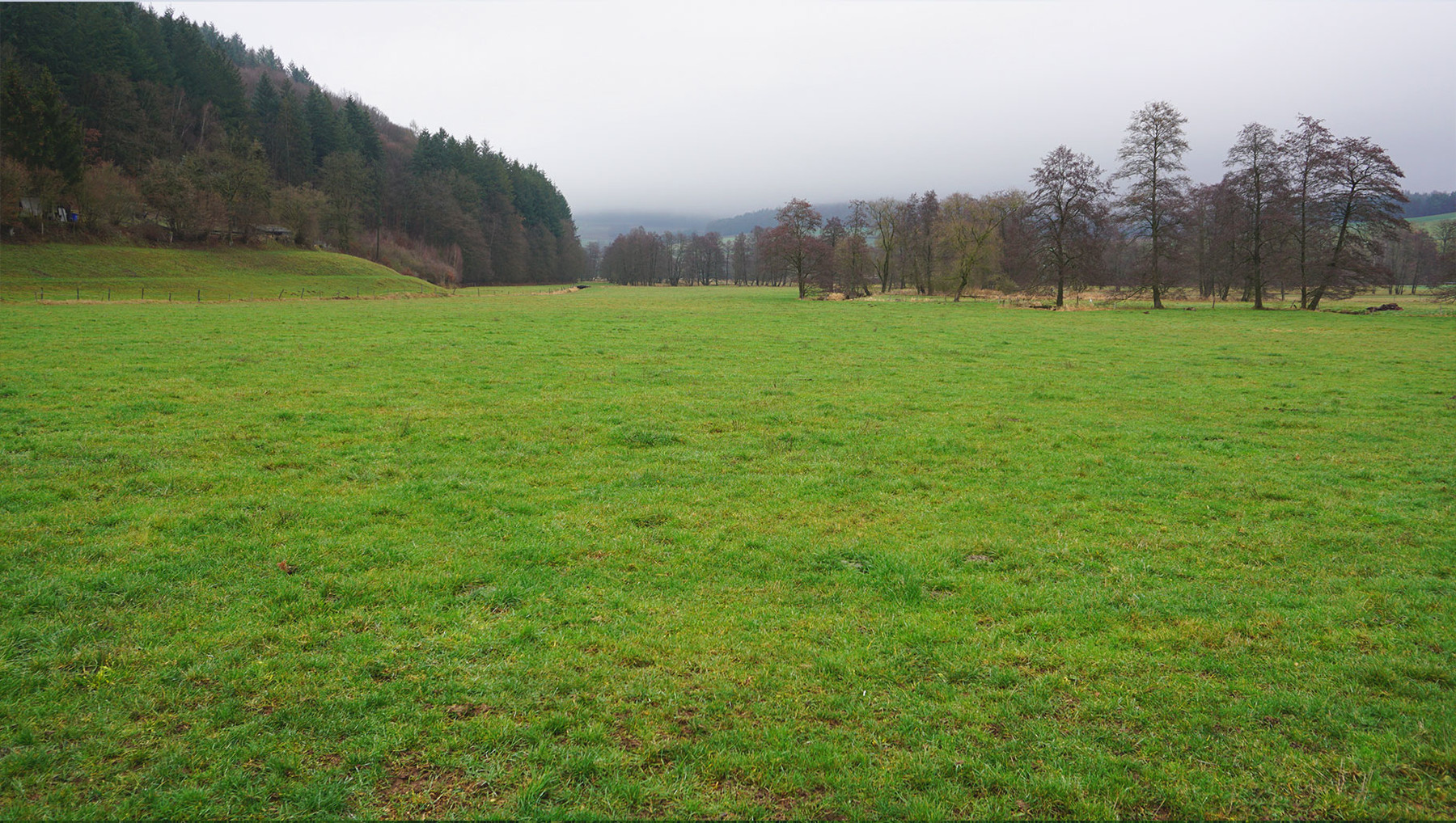 ArtStation - Meadow Pack - Reference pictures | Resources