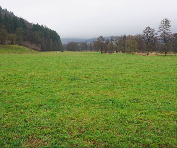 ArtStation - Meadow Pack - Reference pictures | Resources