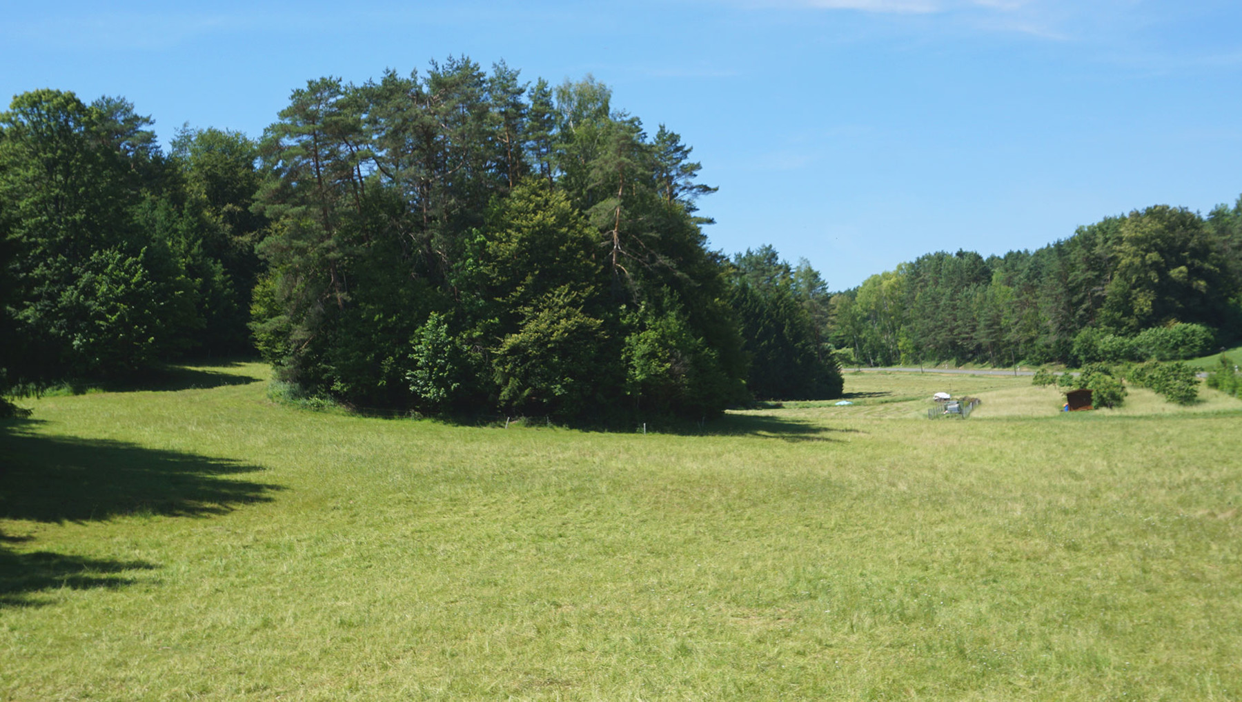 ArtStation - Meadow Pack - Reference pictures | Resources