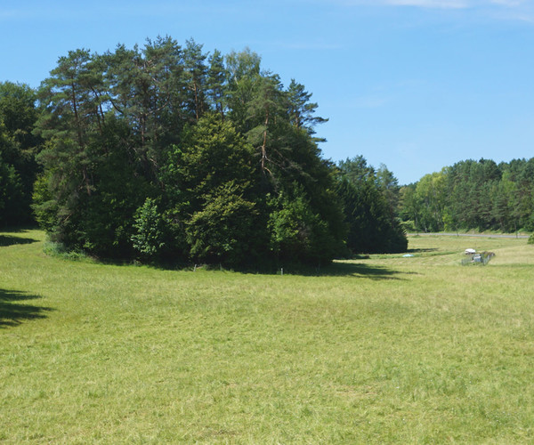 ArtStation - Meadow Pack - Reference pictures | Resources