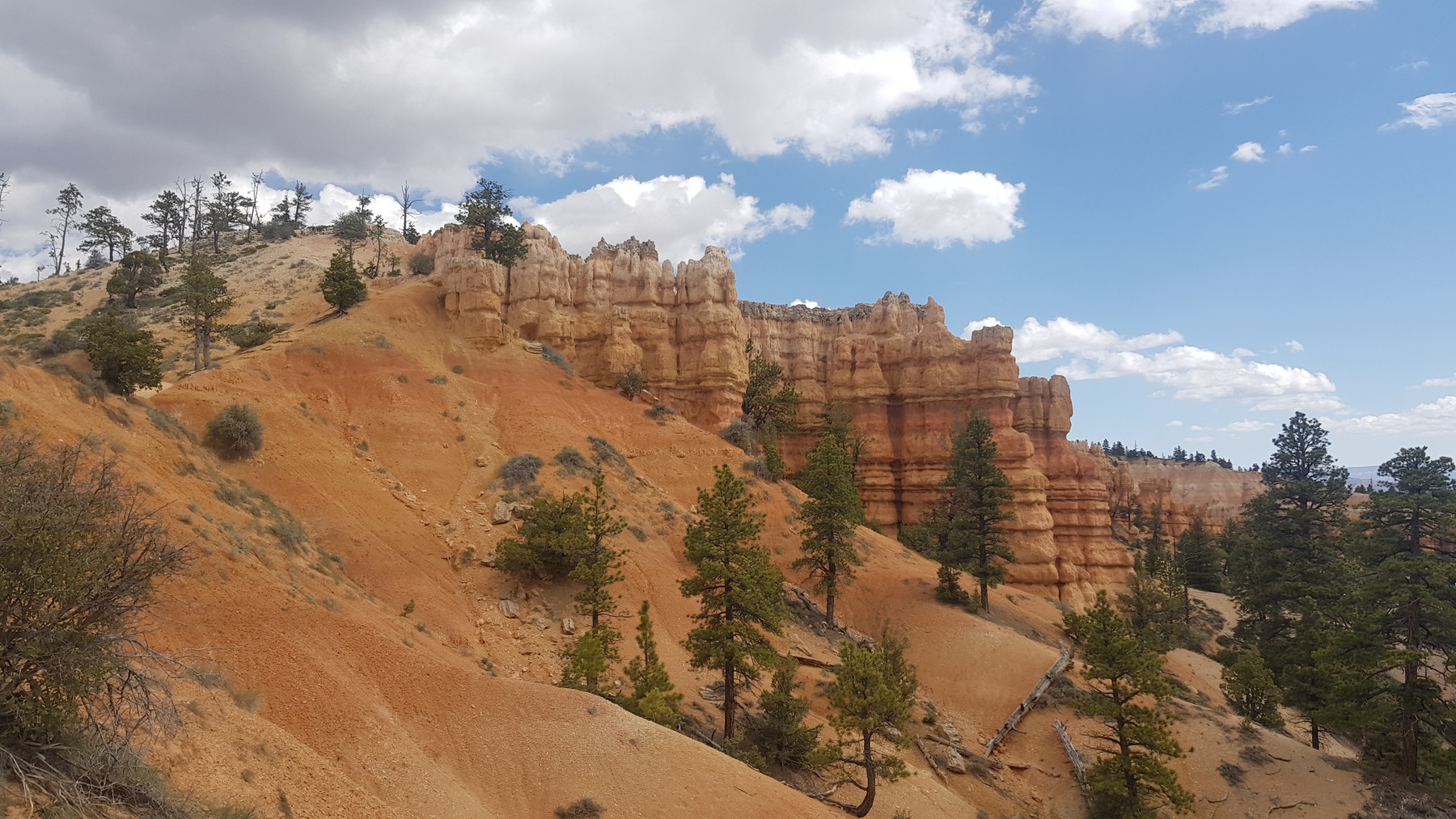 ArtStation - Reference: Bryce Canyon Pack 184 | Resources