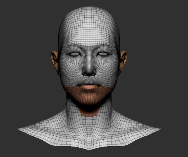 ArtStation - Man Head Base mesh 3D model 3D model | Resources