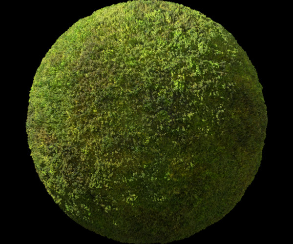 ArtStation - 73. Moss#01 | Game Assets