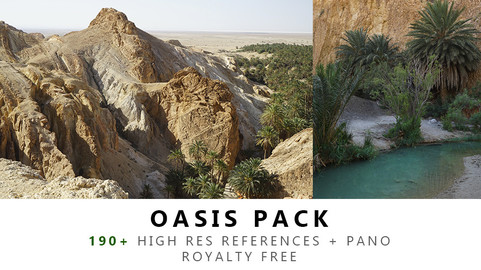 ArtStation - Oasis Texture Pack | Resources
