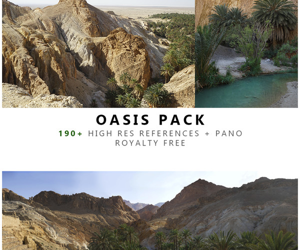 ArtStation - Oasis Texture Pack | Resources