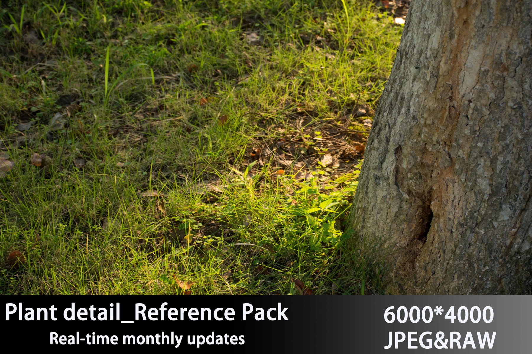 ArtStation - Plant detail_Reference Pack | Resources