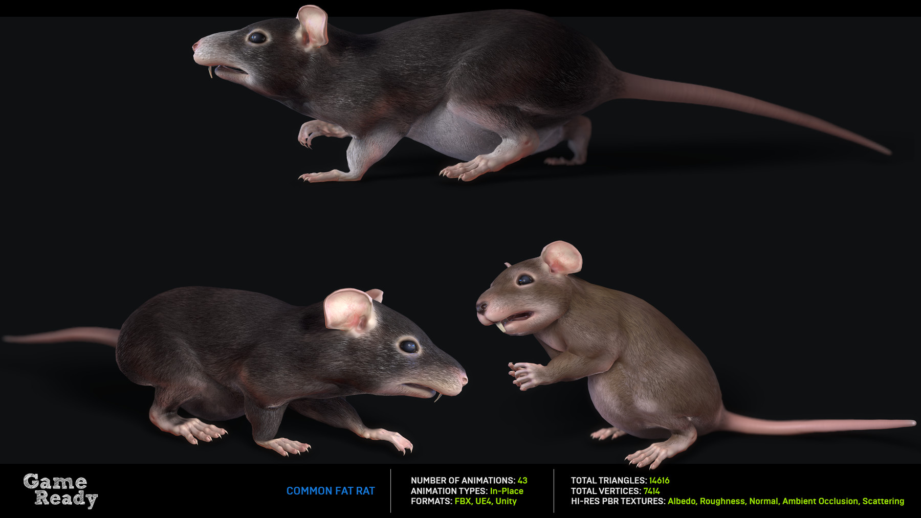 ArtStation - Rats Complete Pack | Game Assets