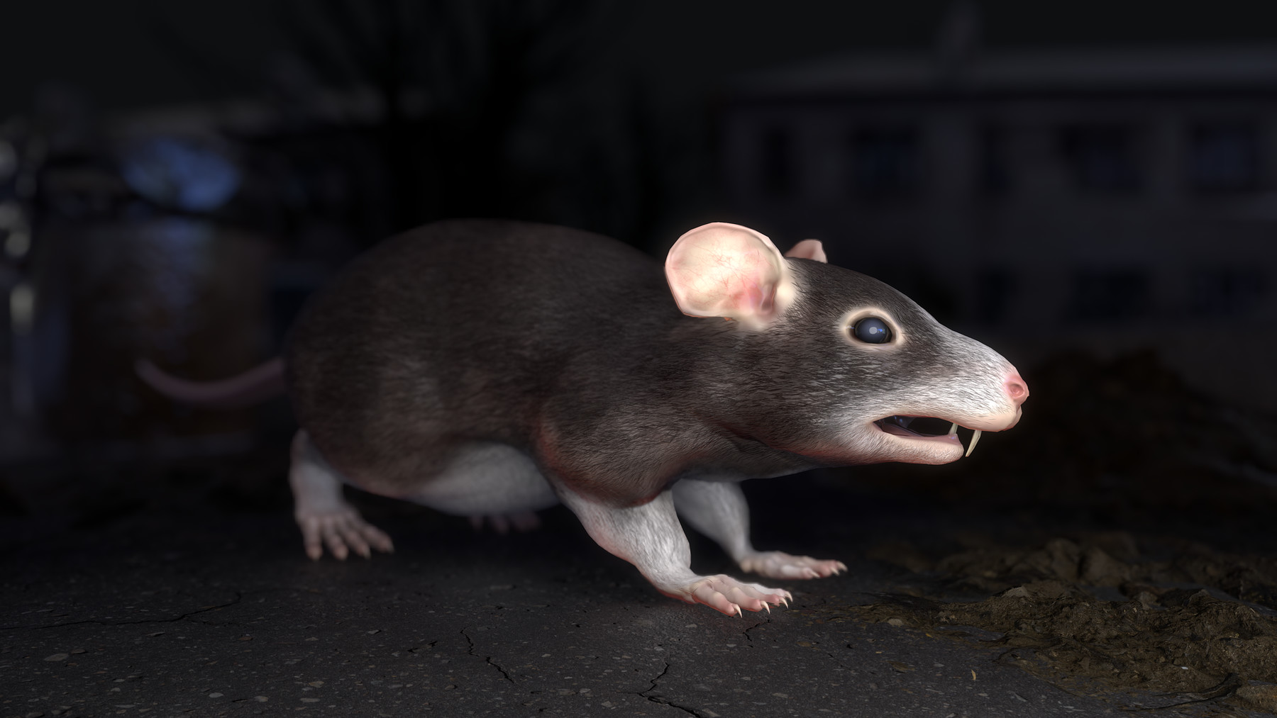 ArtStation - Rats Complete Pack | Game Assets