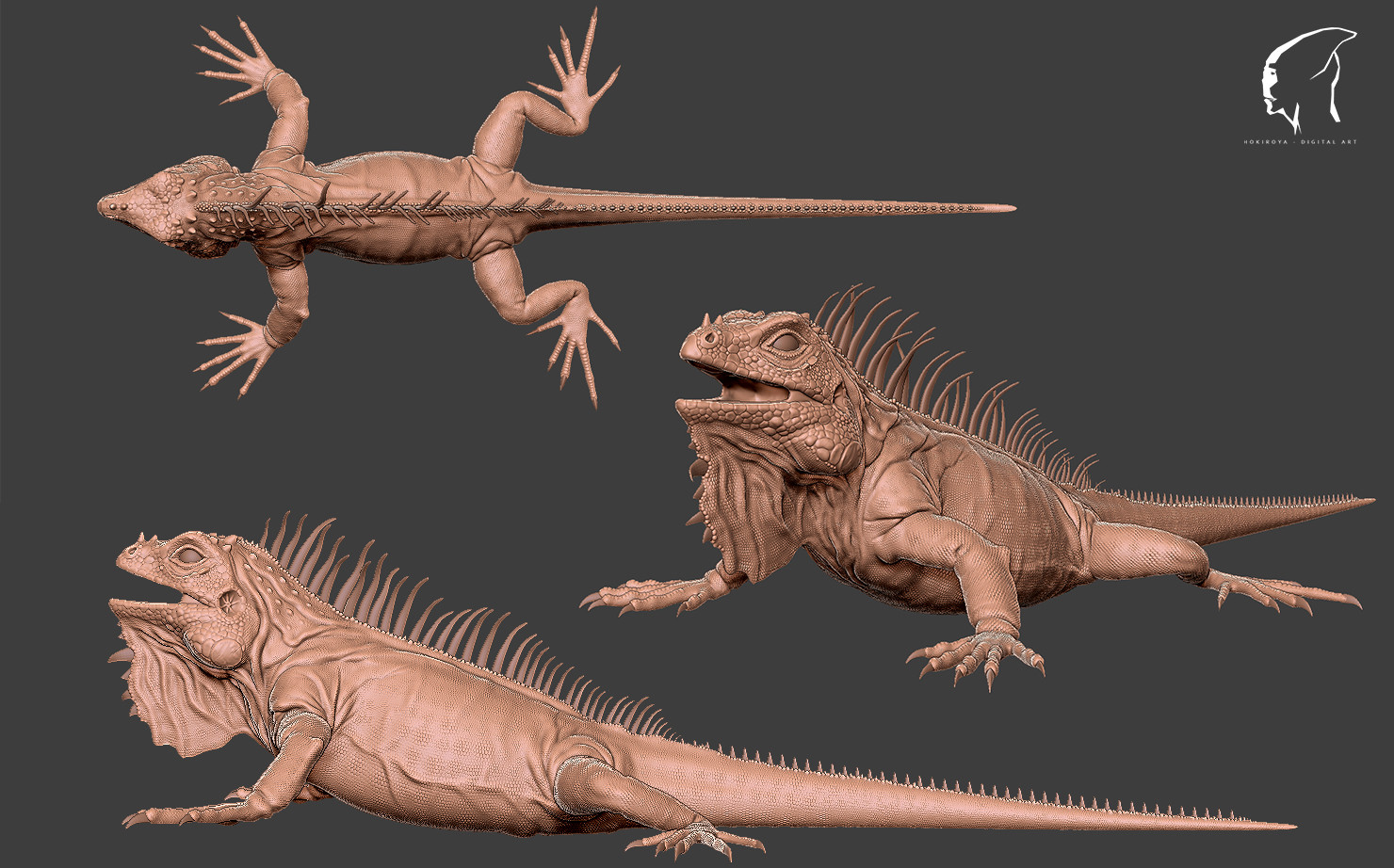 ArtStation - Iguana - Game Ready asset | Game Assets