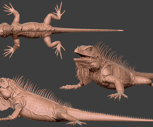 ArtStation - Iguana - Game Ready asset | Game Assets