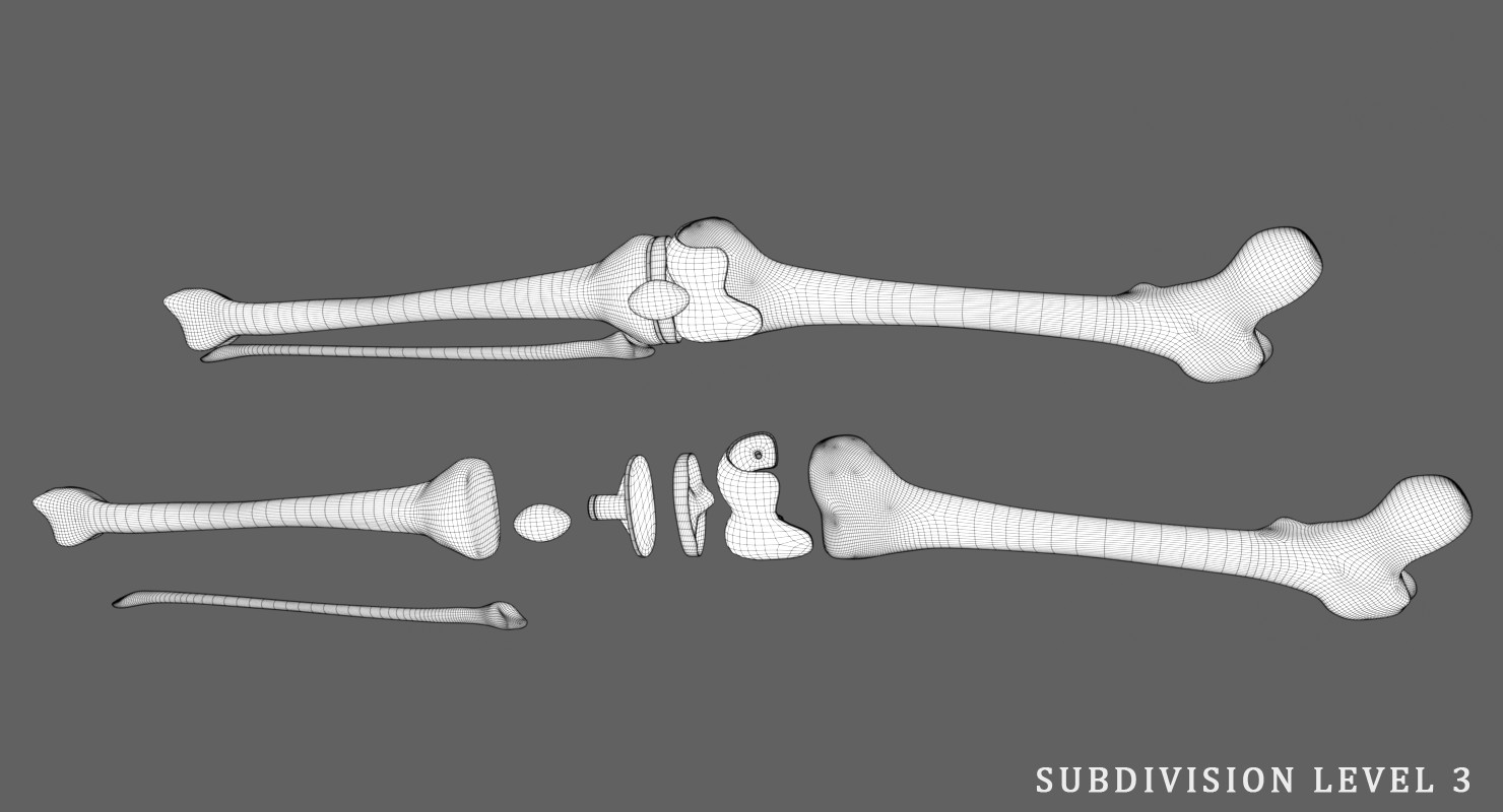 ArtStation - Knee endoprosthesis | Resources