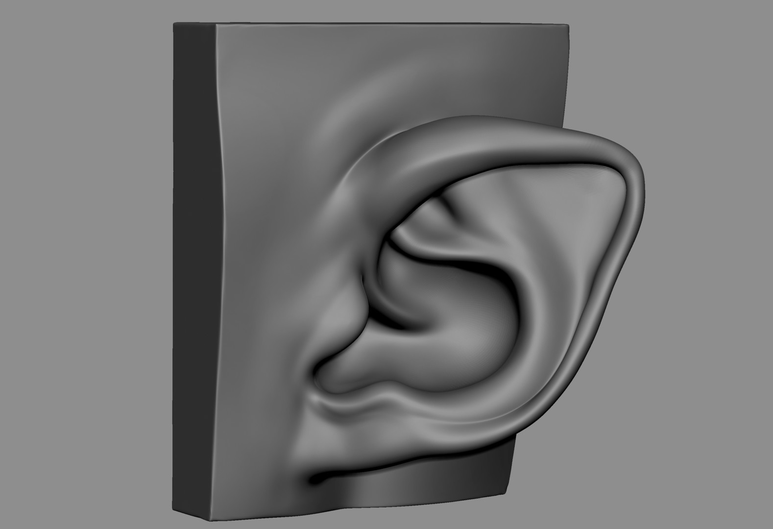 ArtStation - Ear Model Collection | Resources