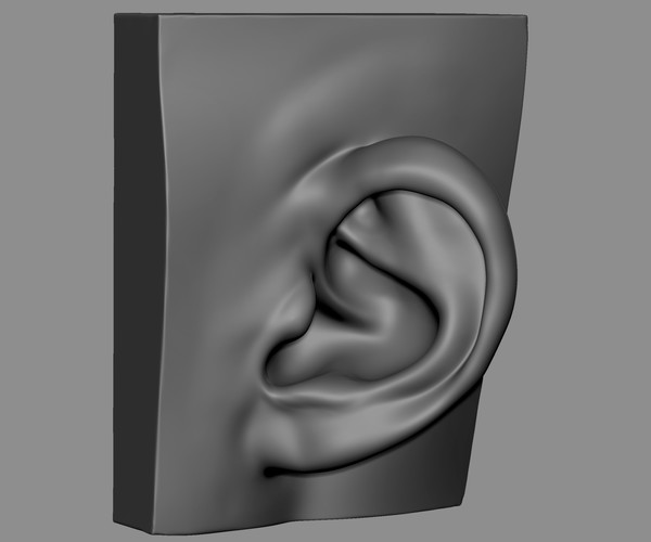ArtStation - Ear Model Collection | Resources
