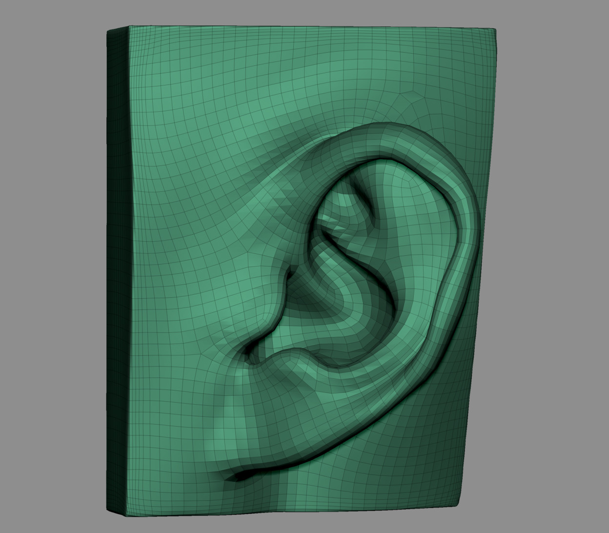 ArtStation - Ear Model Collection | Resources