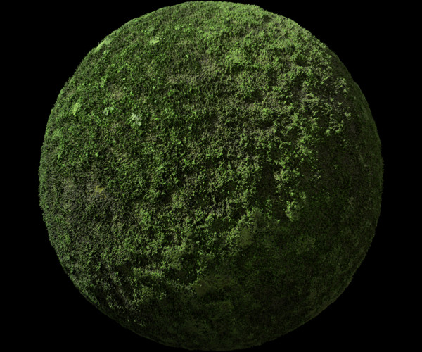 ArtStation - 84. Moss#02 | Game Assets
