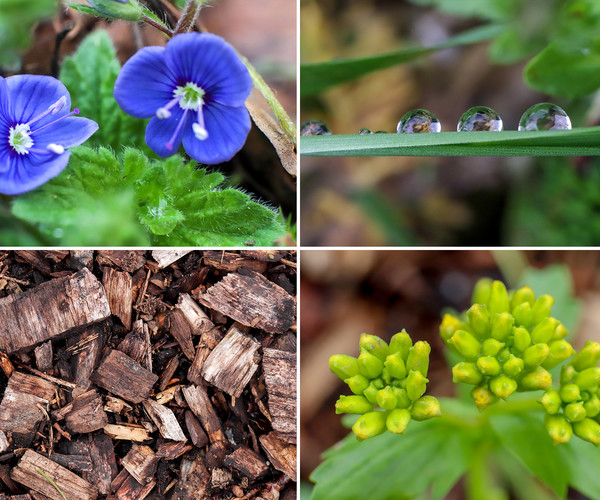 ArtStation - 50 Floral Macro Backgrounds | Resources