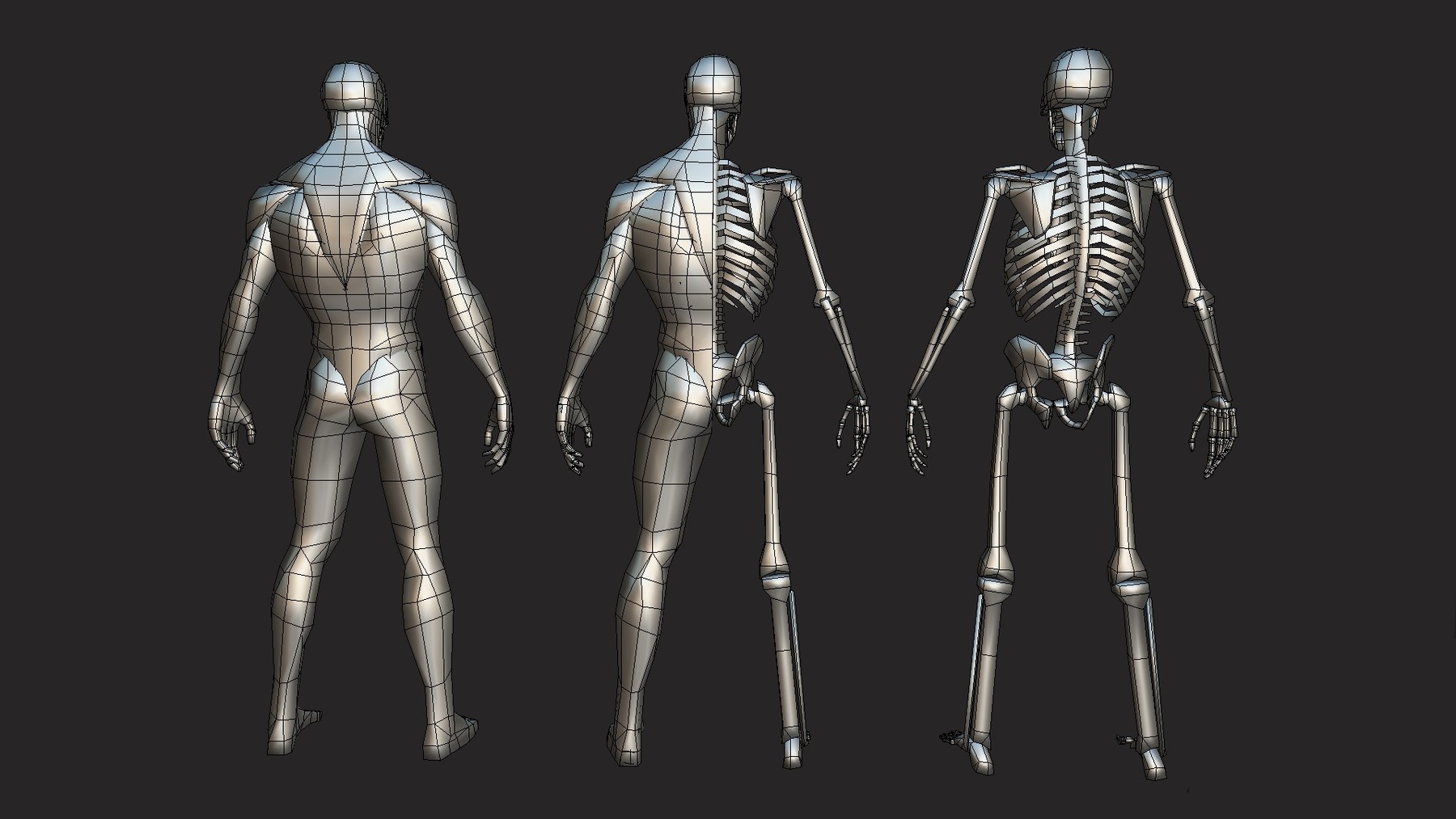 ArtStation - Low poly stylazed anatomy | Resources