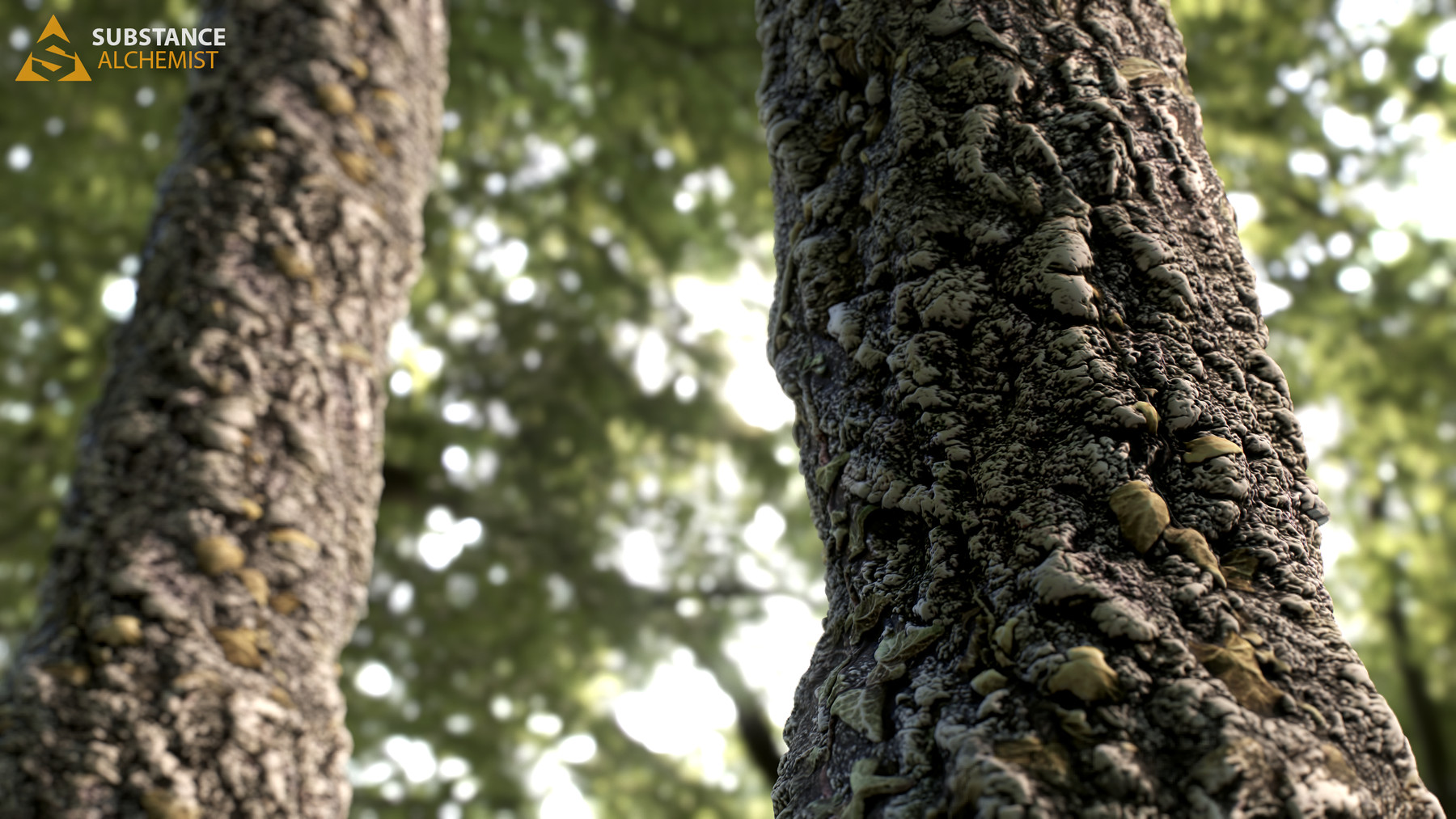 ArtStation - Tree Trunk - PBR Material | Resources