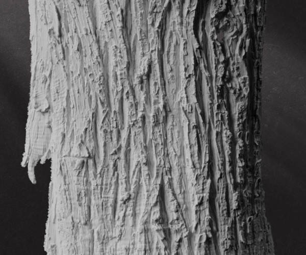 ArtStation - 5 alphas (4096x4096) - Scanned tree bark (resolution 0.2mm ...