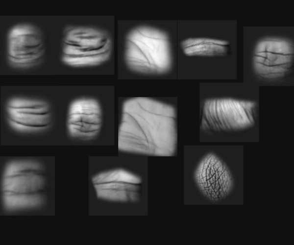 ArtStation - Human Hand Alphas | Resources