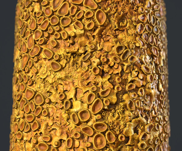 ArtStation - Lichen Material | Resources