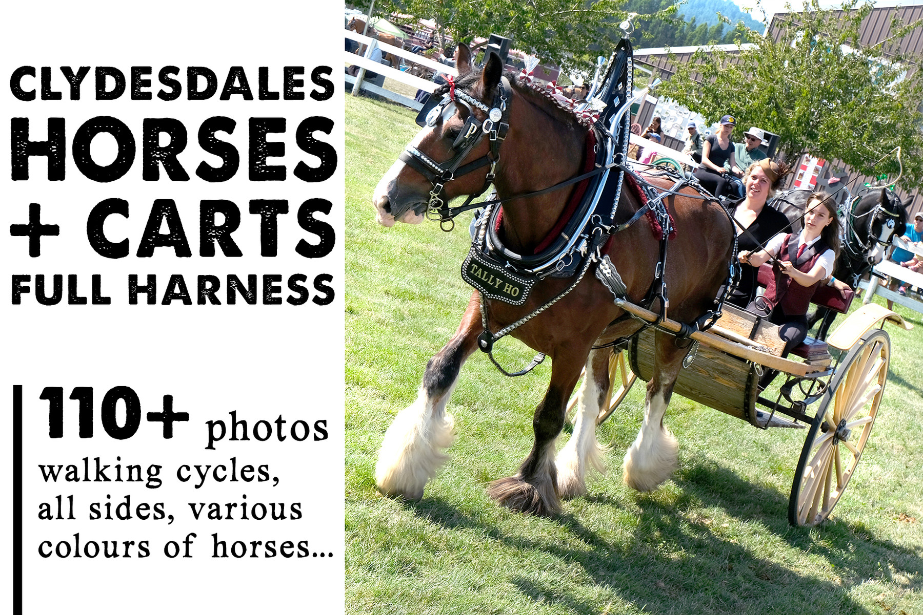 ArtStation - Clydesdale Horses with Cart + Full Harness | 110+ Photos ...