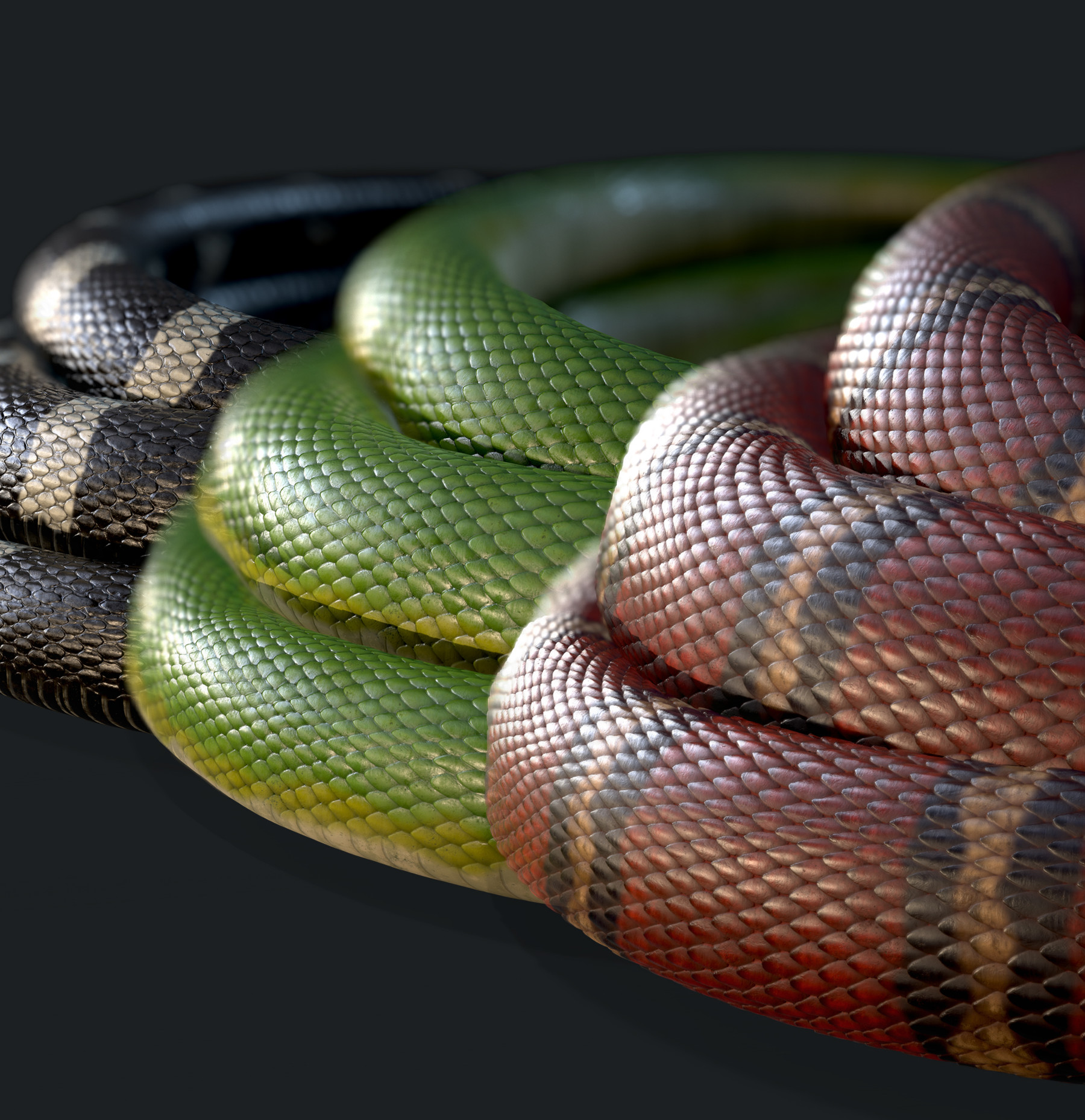 ArtStation - Scales | Game Assets