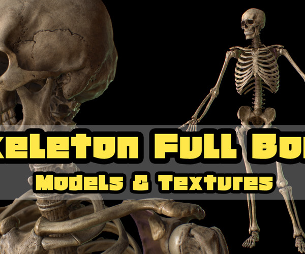 ArtStation - Skeleton FullBody Models&Textures | Resources