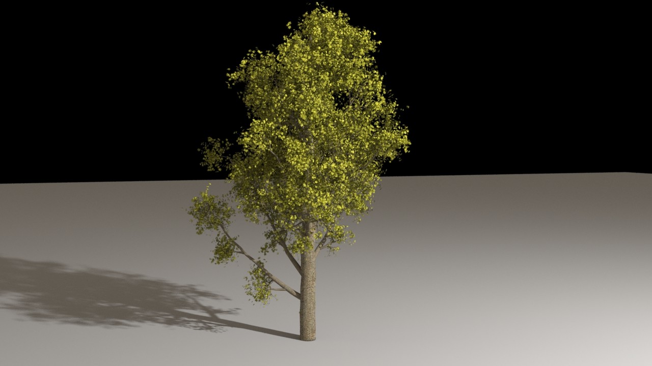 ArtStation - Houdini Tree Generator | Resources