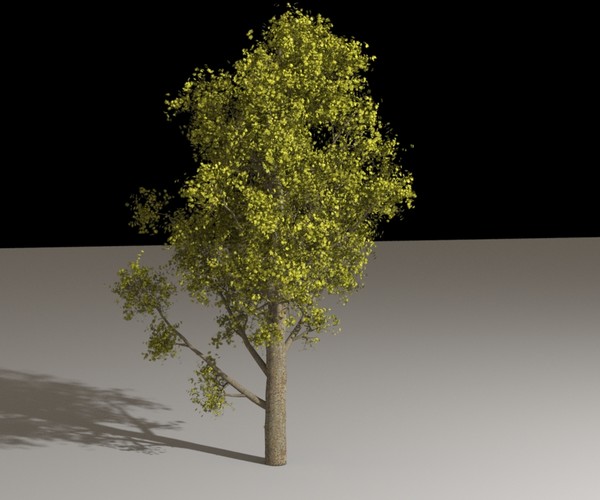 ArtStation - Houdini Tree Generator | Resources