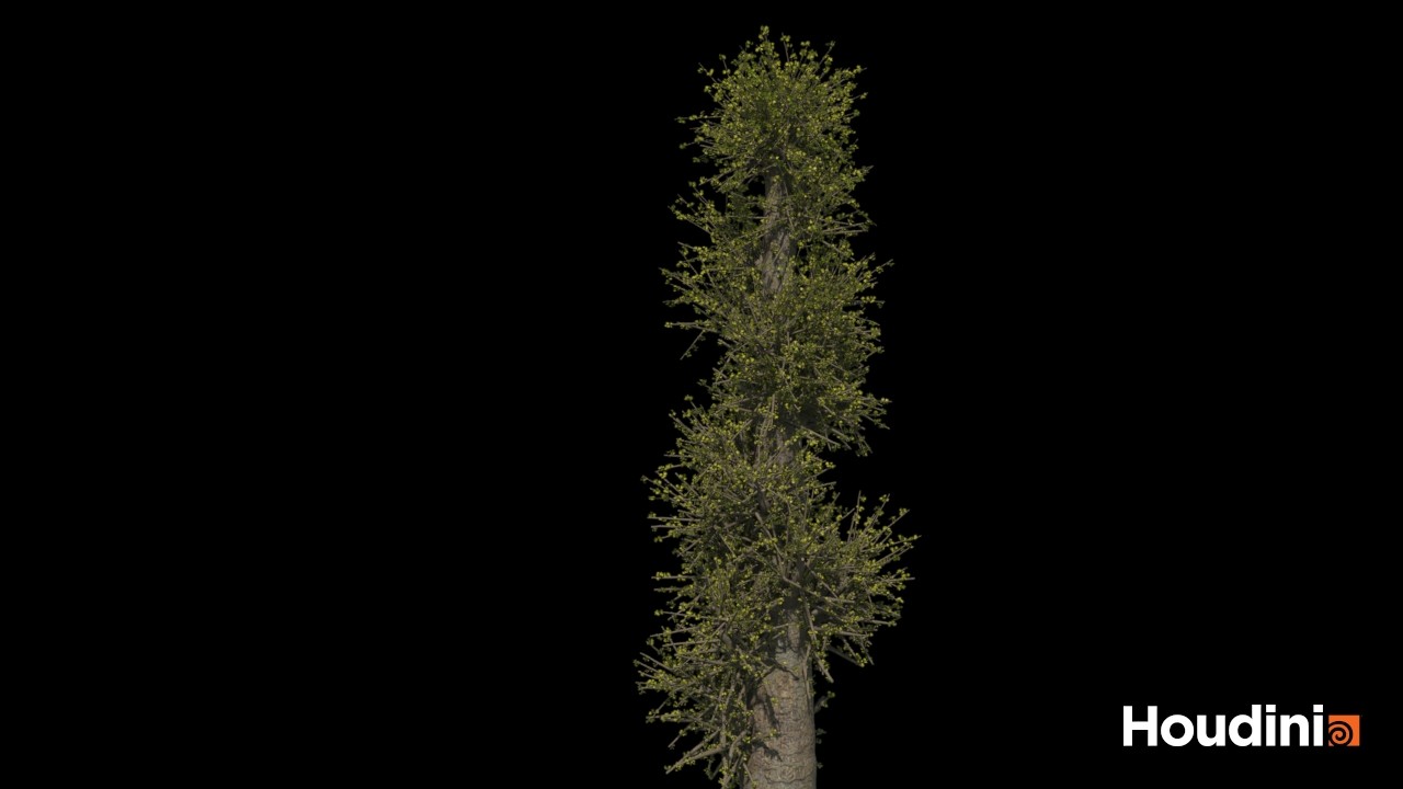 ArtStation - Houdini Tree Generator | Resources