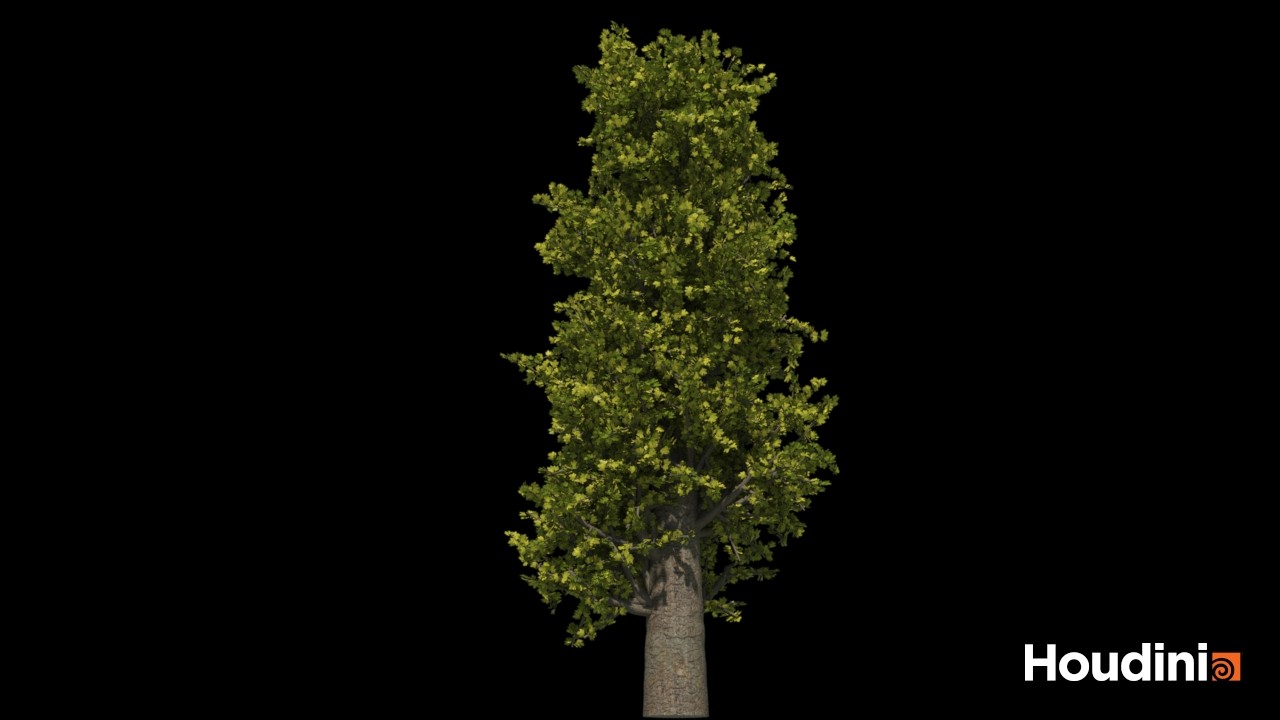 ArtStation - Houdini Tree Generator | Resources