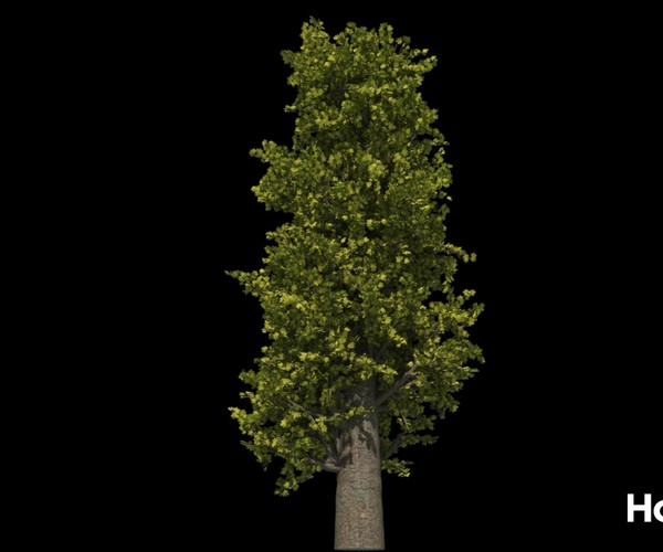 ArtStation - Houdini Tree Generator | Resources
