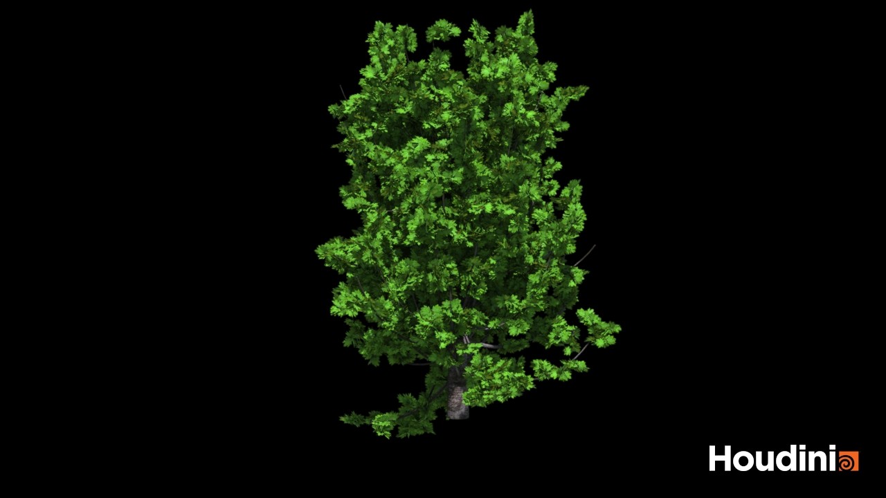 ArtStation - Houdini Tree Generator | Resources