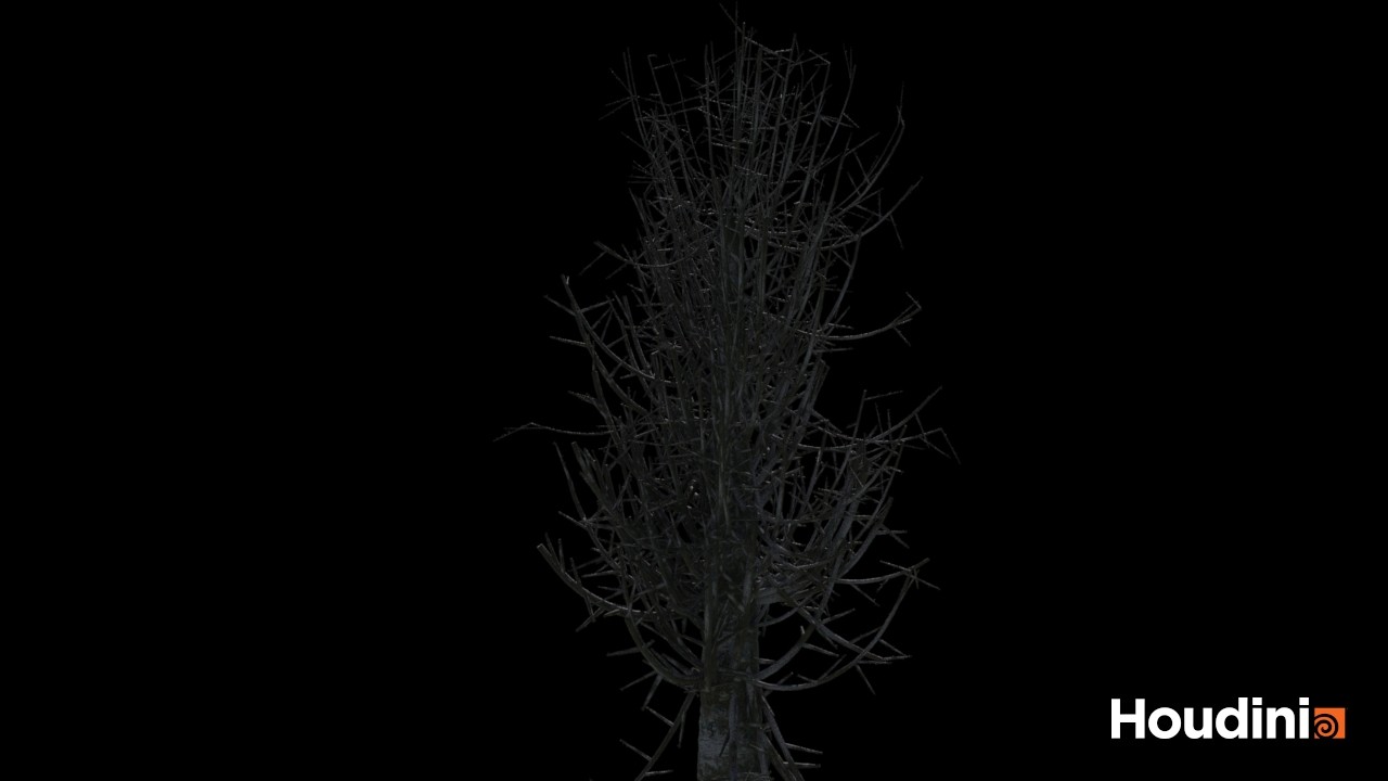 ArtStation - Houdini Tree Generator | Resources