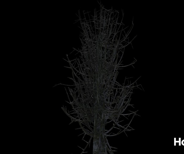 ArtStation - Houdini Tree Generator | Resources
