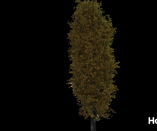 ArtStation - Houdini Tree Generator | Resources
