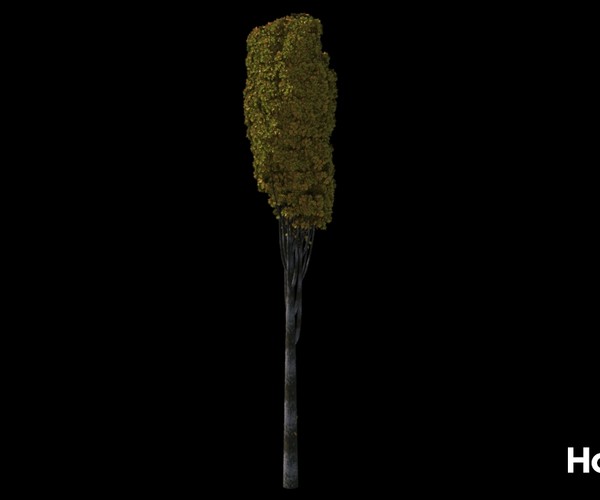 ArtStation - Houdini Tree Generator | Resources