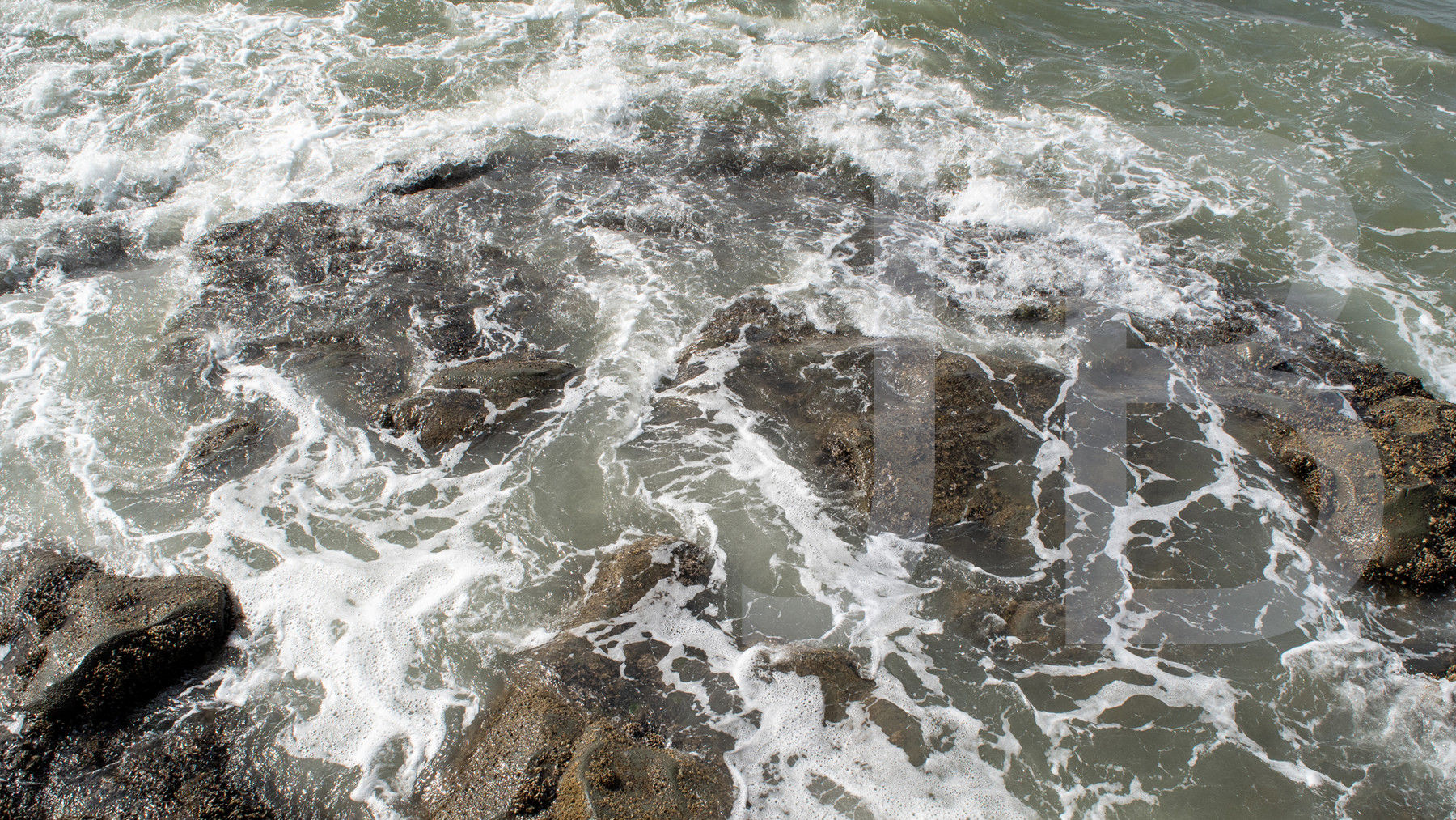 ArtStation - Pacific Coast | Photo Reference Pack | Resources